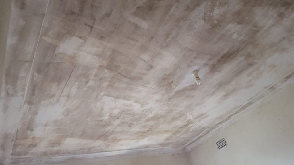 How to Get Rid of Mould - Mould Removal